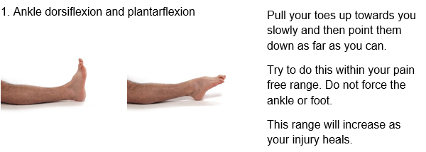 Minor avulsion fracture or no fracture seen following a foot injury ...