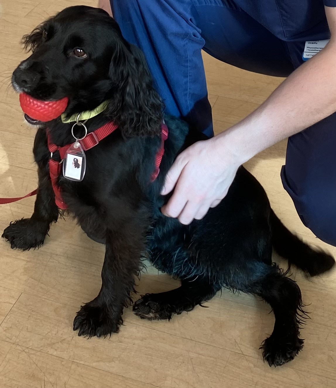 HUTH Penthouse | Hull University Teaching Hospitals NHS Trust