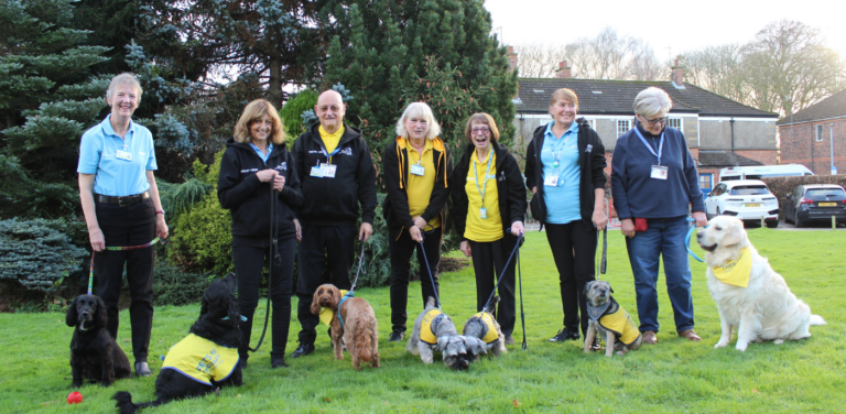 Hospital patients invited to paws, rest and recover | Hull University ...
