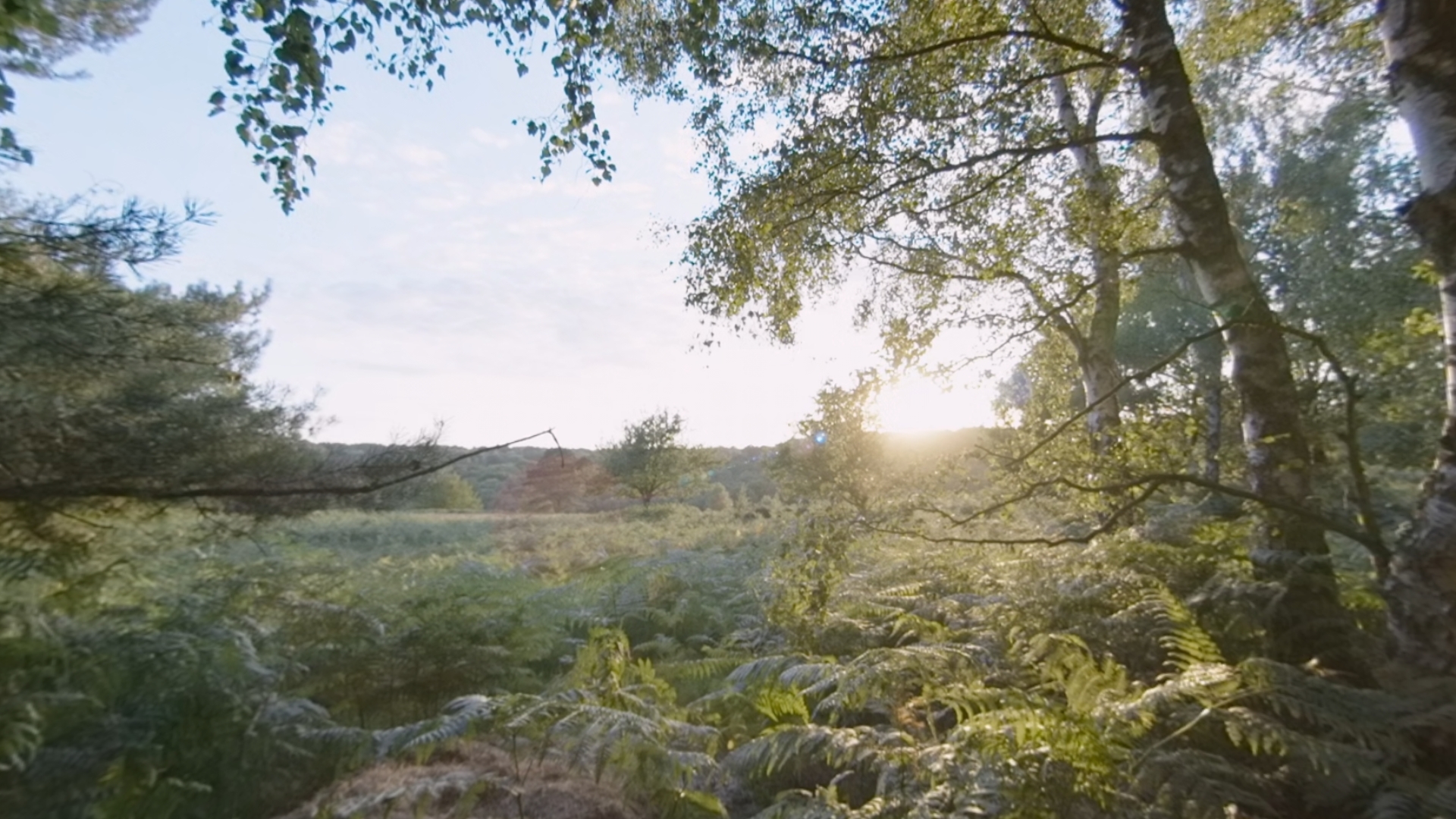 Hull University Teaching Hospitals NHS Trust